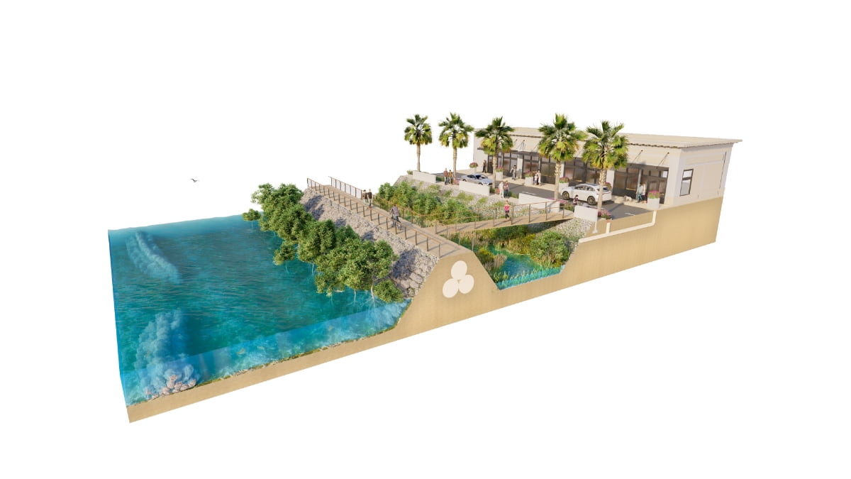 Taking Action to Preserve the Miami Coastline | Swire Properties SD ...